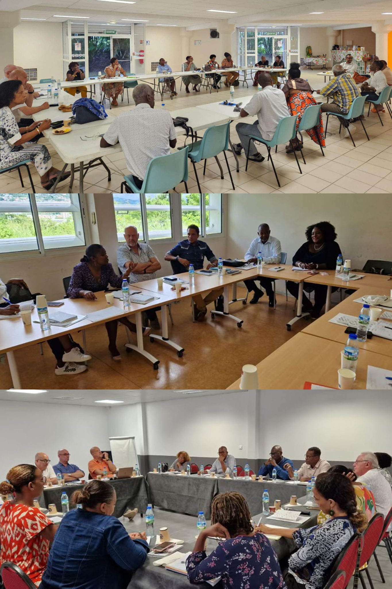 Echos de la formation de la FNCC en Martinique - FNCC | Fédération ...