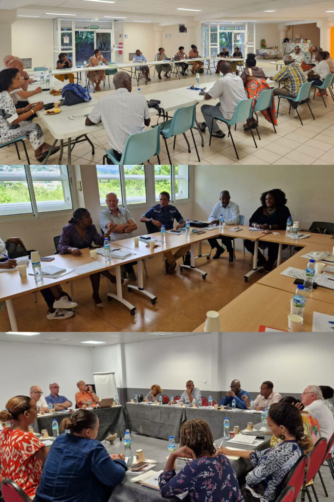 Echos de la formation de la FNCC en Martinique - FNCC | Fédération ...